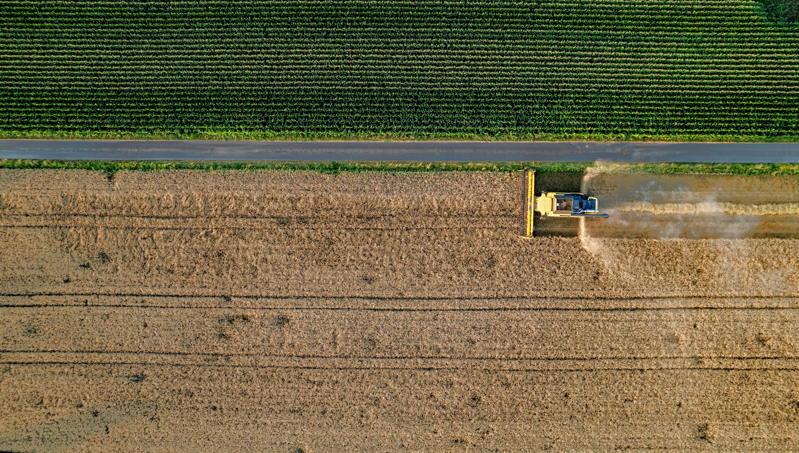 What are biofuels, and how are they used in flex fuel engines?
